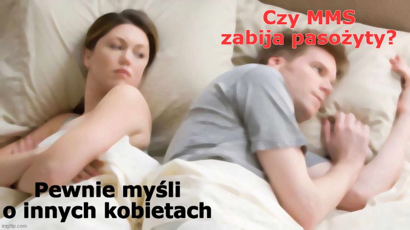 MMS - Tradycyjne przepisy - Elektro-Zdrowie